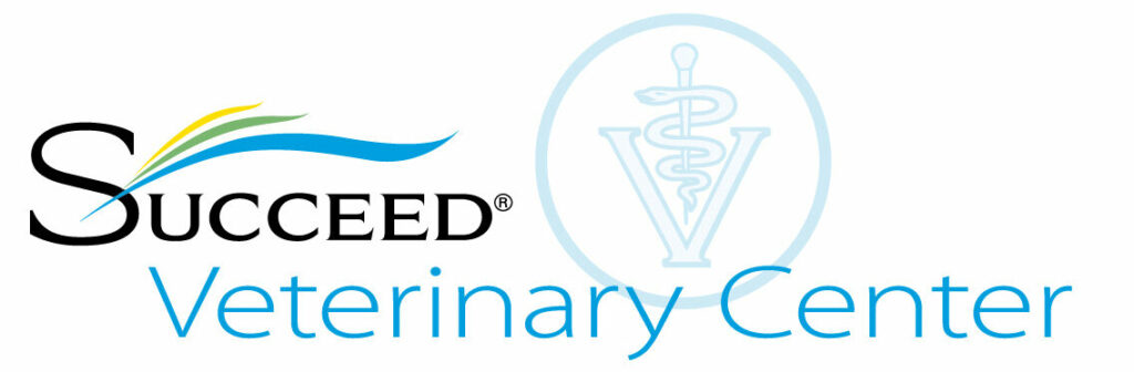 Enteritis in Horses | Equine GI Disease Library for Vets