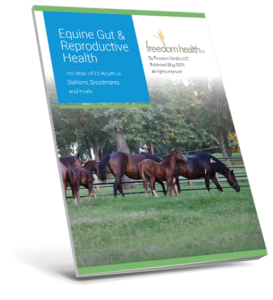 Equine Gut and Reproductive Health White Paper | SUCCEED